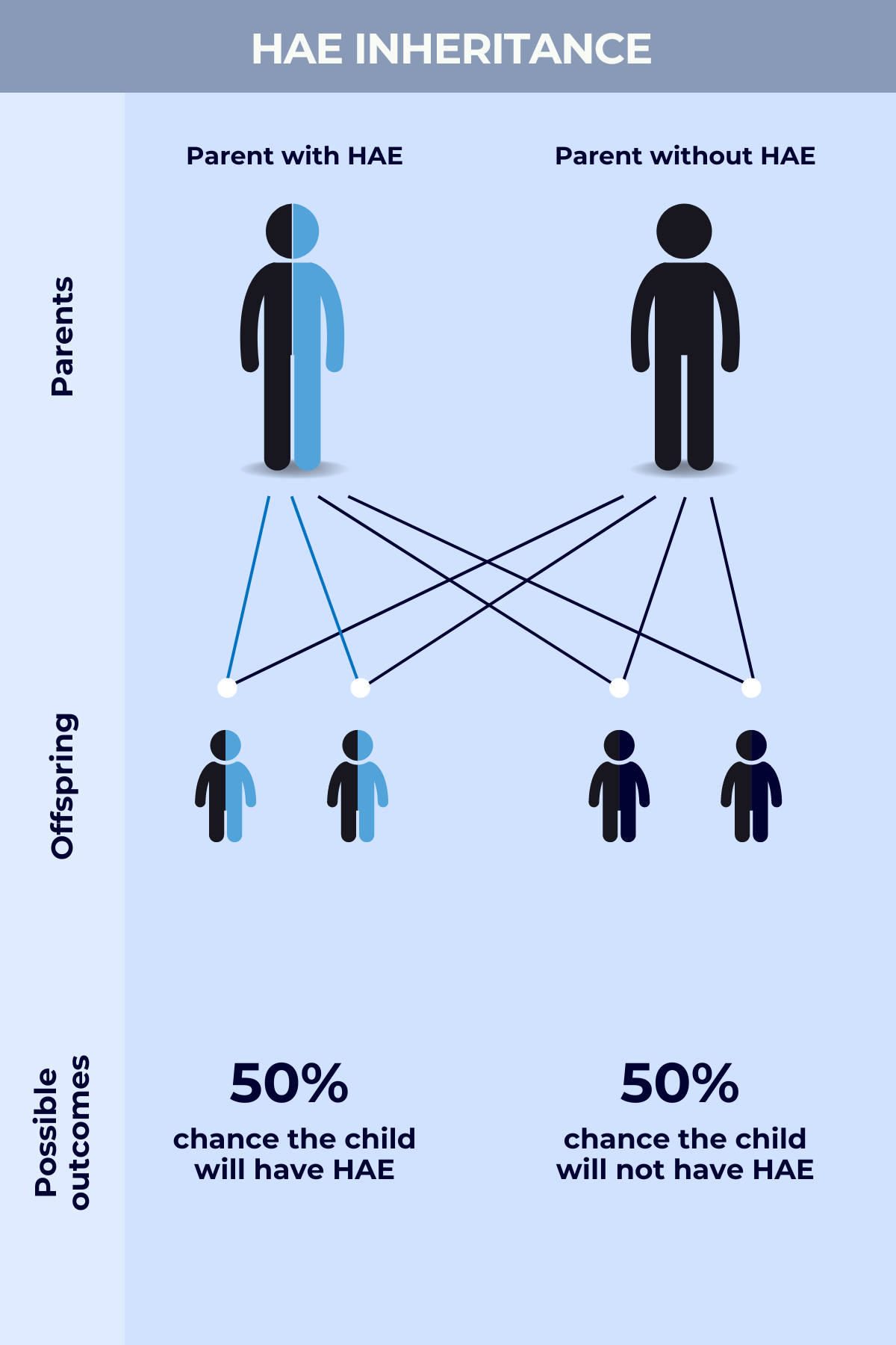 Hereditary angioedema genetics and inheritance | Angioedema News
